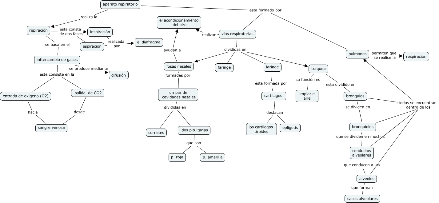 Cmap respiratorio Jaime de Sancha